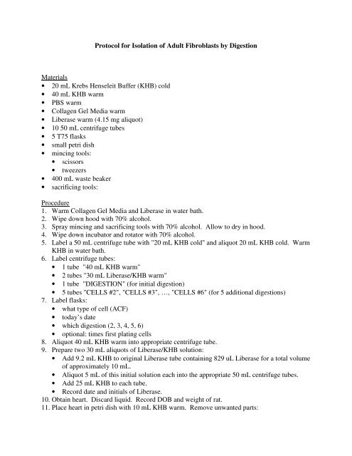 Adult Fibroblast Isolation Protocol