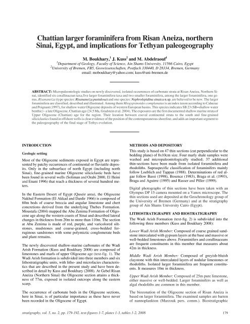 Chattian larger foraminifera from Risan Aneiza, northern Sinai ...