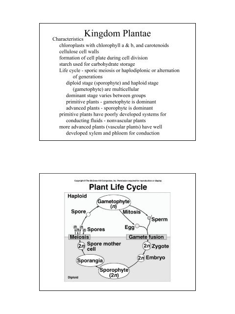 Kingdom Plantae Cells