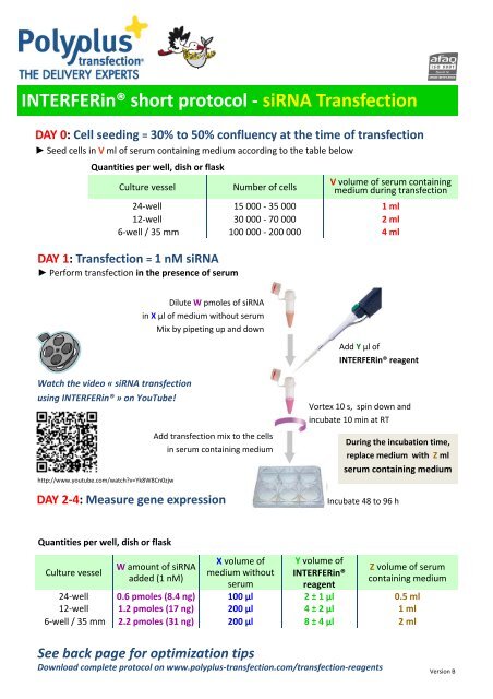 INTERFERinÂ® short protocol siRNA Transfection - Brunschwig-ch.com
