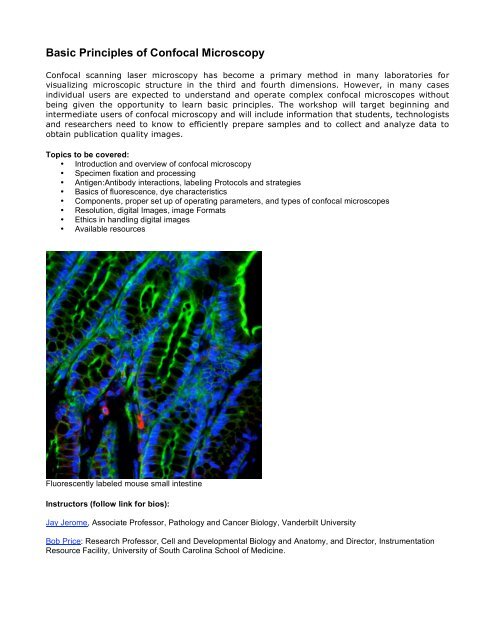 Basic Principles of Confocal Microscopy - Microscopy Society of ...