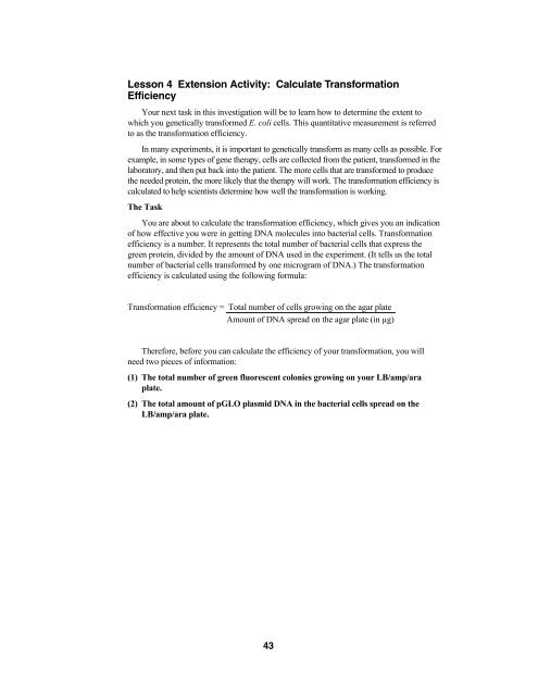 Lesson 4 Extension Activity Calculate Transformation Efficiency