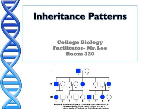 Human Inheritance Patterns Cologe Biology Mr. Lee Room 320