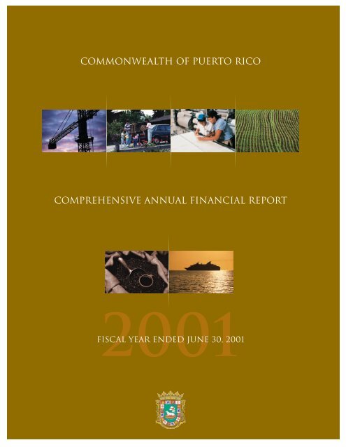 commonwealth of puerto rico comprehensive annual financial report