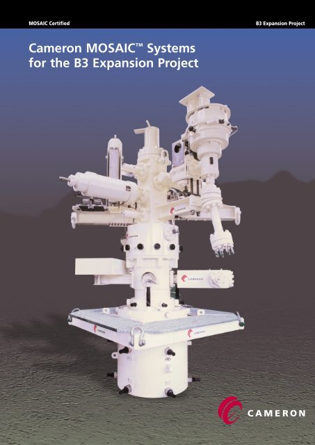 Cameron MOSAICâ ¢ Systems for the B3 Expansion Project - cedip