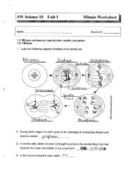 SW Science 10 Unit 1 Meiosis Worksheet - Mrs. GM Biology 200