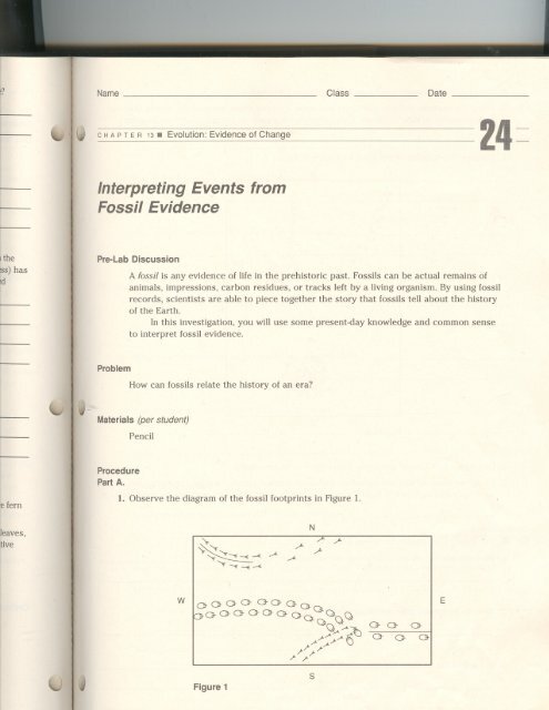 Interpreting Events from Fossil Evidence