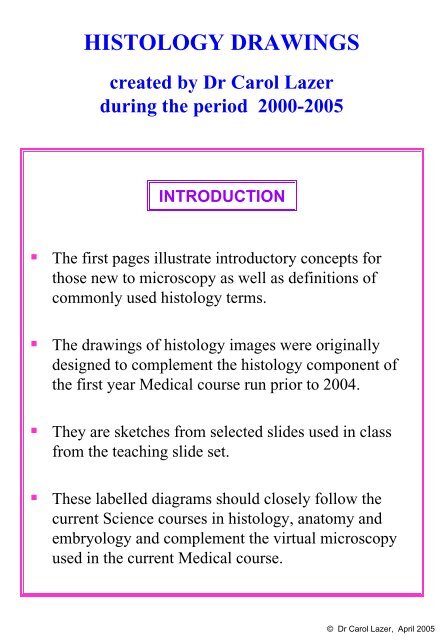 Histology Glossary Histology Uterine Wall Draw It To Know It The Study