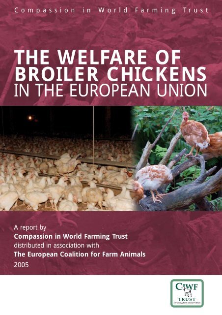the welfare of broiler chickens - Compassion in World Farming