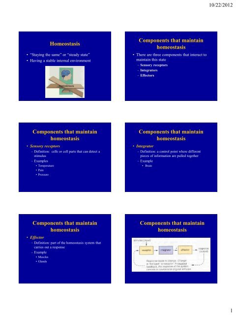 Homeostasis PowerPoint presentation
