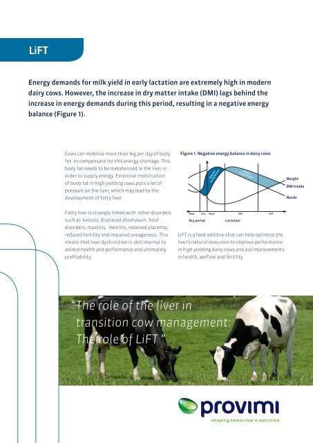 The role of the liver in transition cow management: The role of LiFT