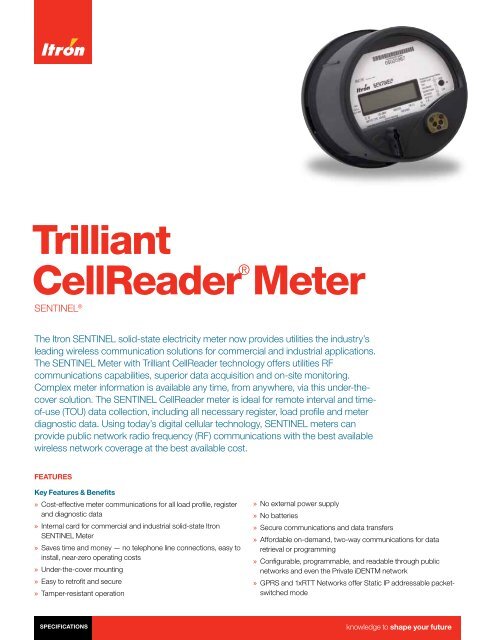 Trilliant CellReaderÂ® Meter - Itron