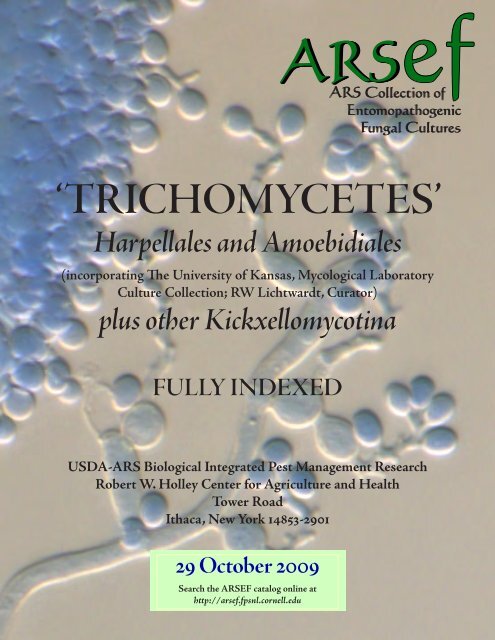 trichomycetes - Natural History Museum - The University of Kansas