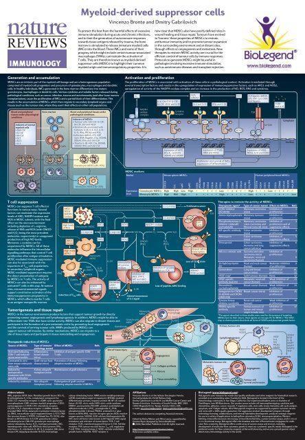 Myeloid-derived suppressor cells