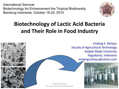 Biotechnology In Food Industry