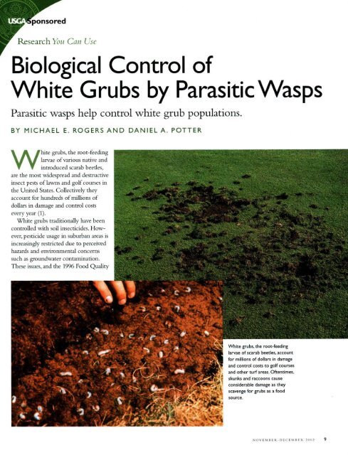 Biological Control of White Grubs by Parasitic Wasps - USGA Green ...