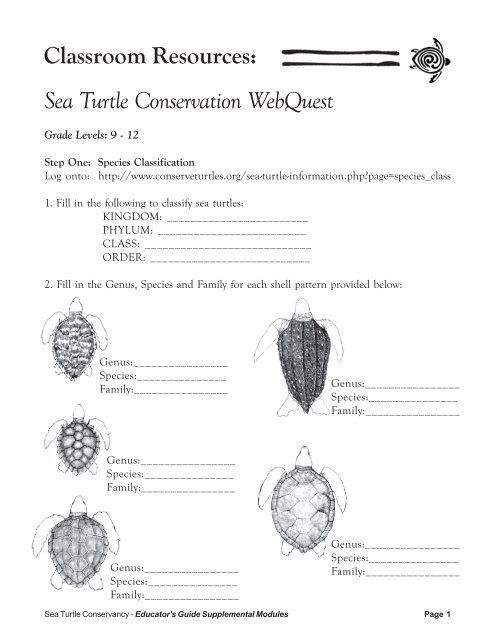 Sea Turtle Conservation WebQuest - Sea Turtle Conservancy