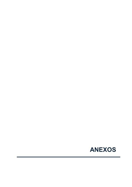 ANEXOS