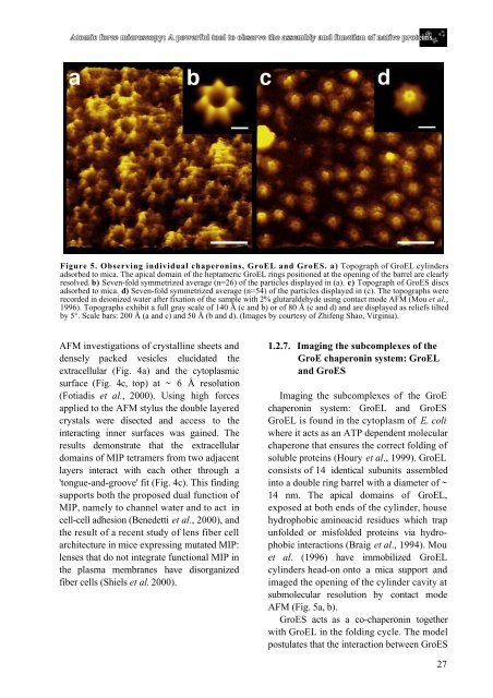 per tetramer (Fig. 3b). A