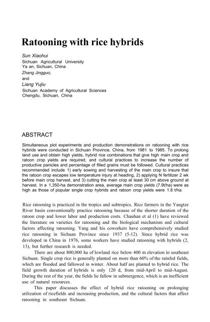 Ratooning with rice hybri