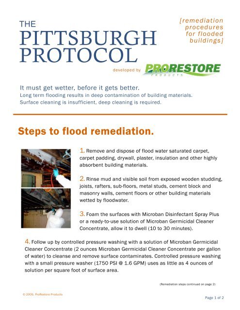 PITTSBURGH PROTOCOL - ProRestore Products