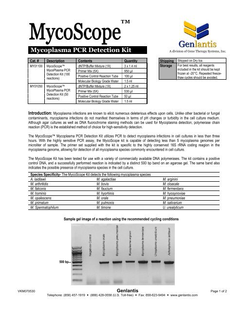 Mycoplasma PCR Detection Kit