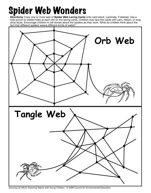 Orb Web Tangle Web Spider Web Wonders - Project Wild