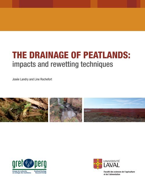 A Unified Explanation For The Morphology Of Raised Peatlands – TYURTU