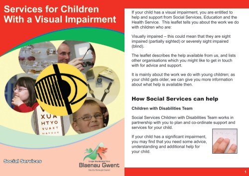 Services for Children With a Visual Impairment - Blaenau Gwent ...