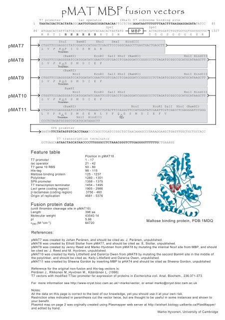 pMAT vector map (PDF) - University of Cambridge