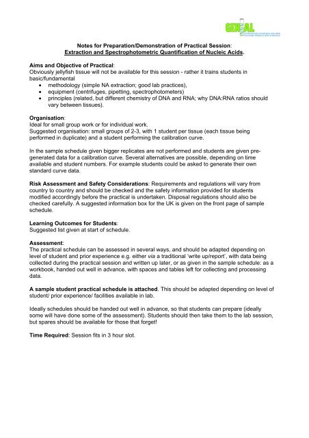 Isolation and spectrophotometric quantification of nucleic acids