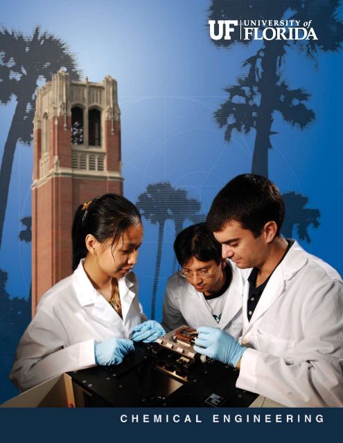 Department Brochure - Chemical Engineering - University of Florida