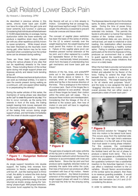 Gait Related Lower Back Pain - Vasyli Medical