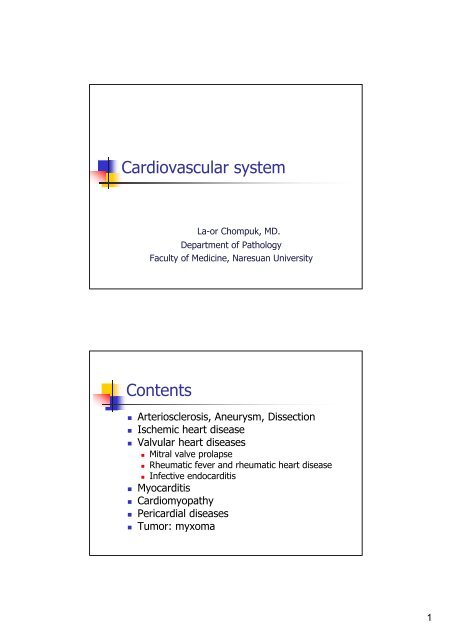 Cardiovascular system Contents - Faculty of Medicine