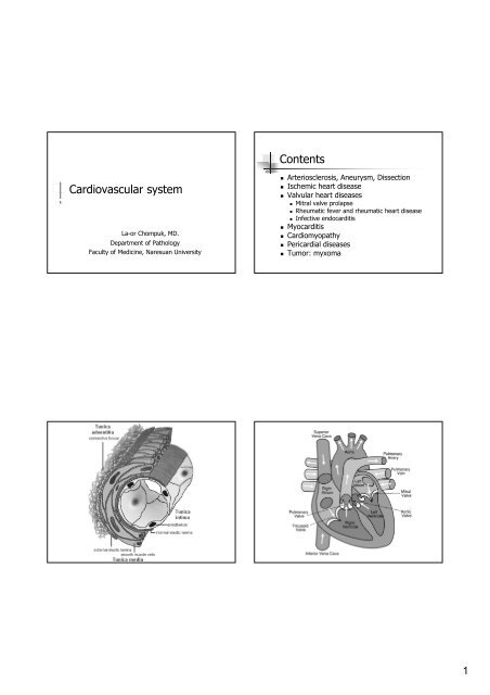 Cardiovascular system Contents - Faculty of Medicine