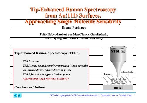 Tip-enhanced Raman Spectroscopy from Au(111)