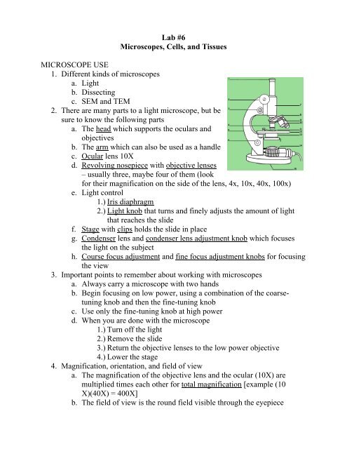 Lab #6 Microscopes, Cells, and Tissues MICROSCOPE USE 1 ...
