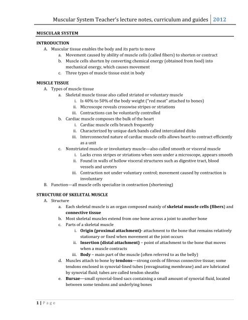 Muscular System Teacher's lecture notes ... - The Littered Box
