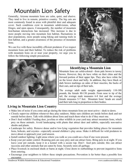 Mountain Lion Safety