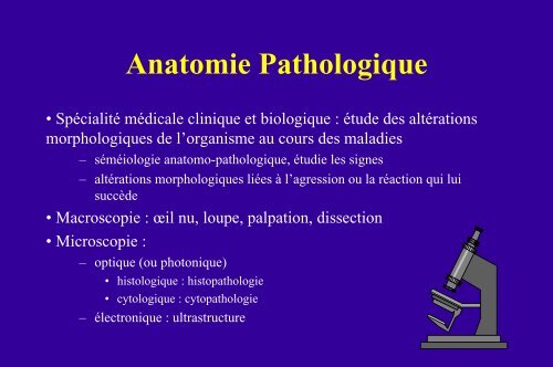 Anatomie Pathologique - FacultÃ© de mÃ©decine Saint-Antoine