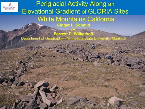 periglacial activity along an elevational gradient of gloria sites ...