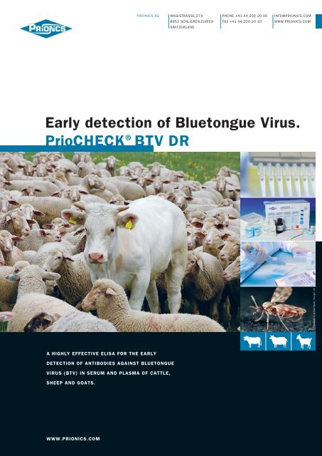 Early detection of bluetongue Virus. prioChECK® bTV dr - Prionics
