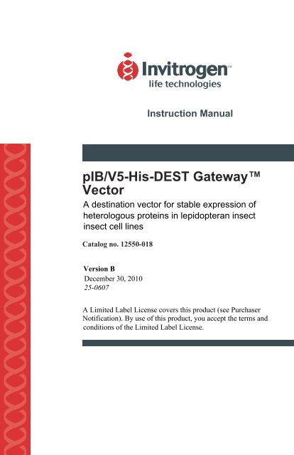 pIB/V5-His-DEST Gateway™ Vector - Bioss