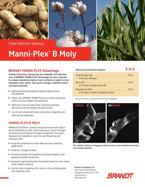 BRANDT-B MOLY-PDB-2012.indd