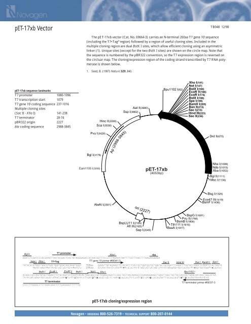 pET-17xb Vector - Gene Synthesis