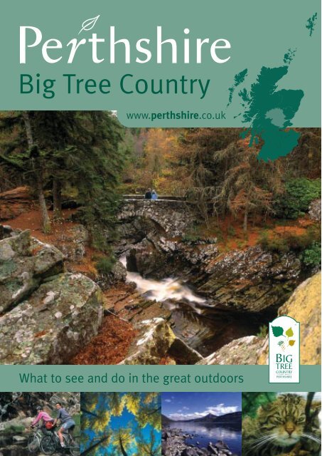 Big Tree Country