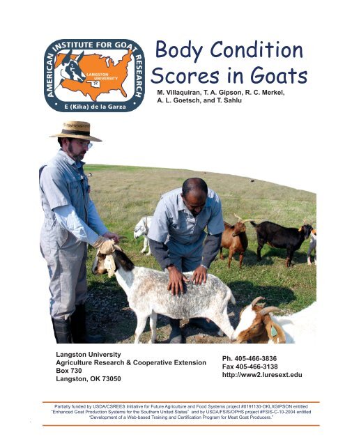 Body Condition Scores in Goats - Department of Animal Science