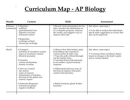 Curriculum