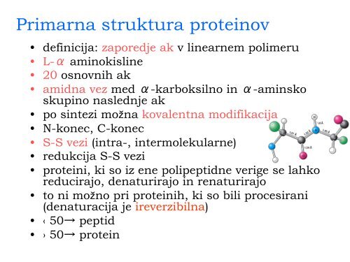 Primarna struktura proteinov