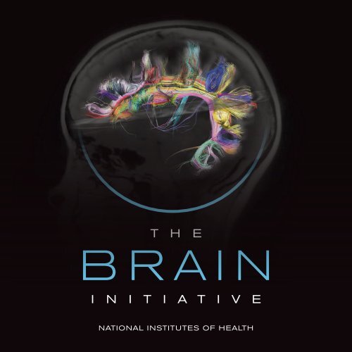 BRAIN-Brochure